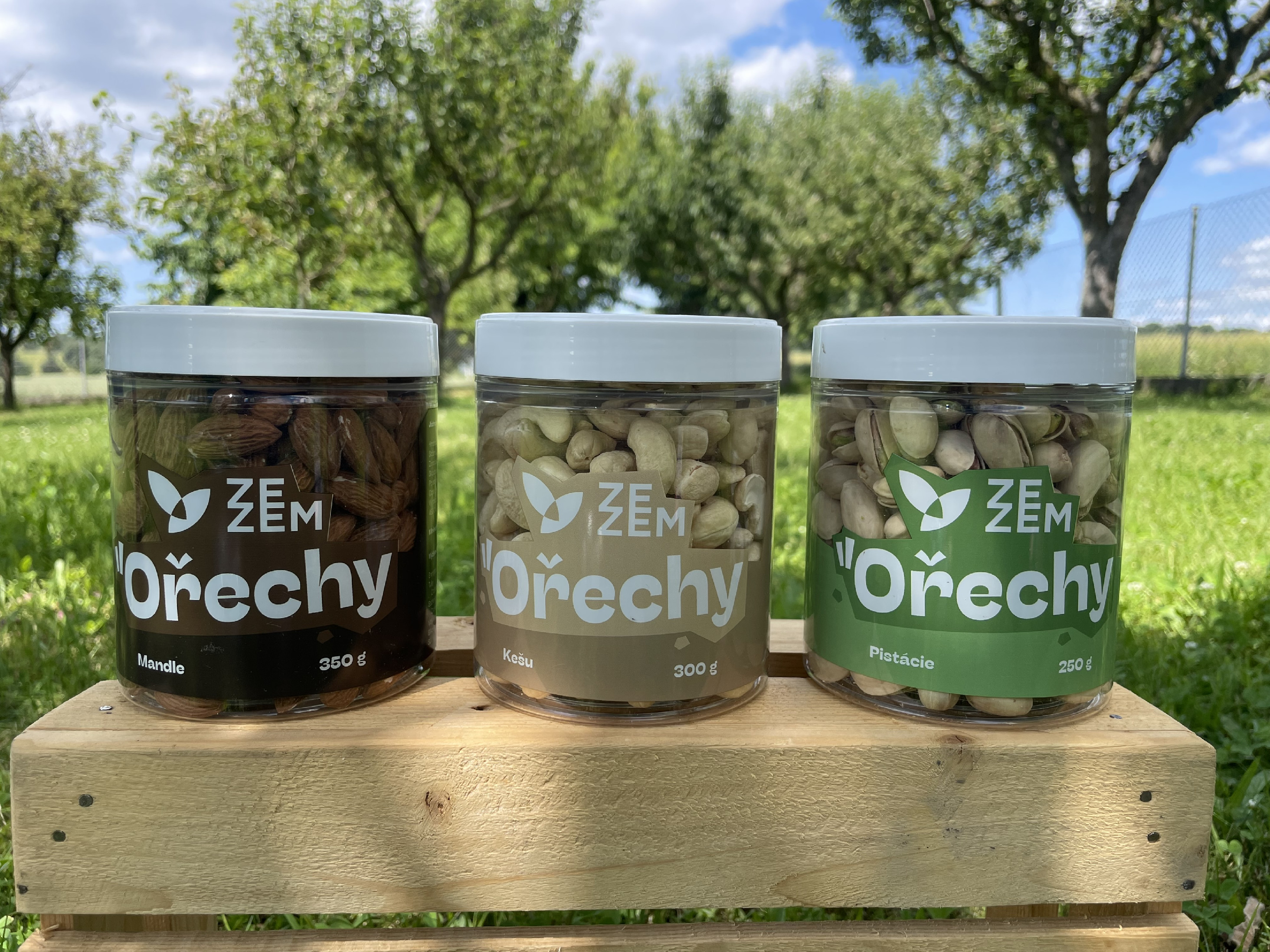 Čerstvé ořechy a oříšky: kešu, mandle, pistácie a další | Zezem.cz